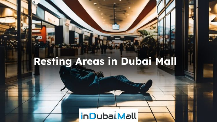 Dubai Mall Sleeping Pods, sleeping pods in dubai mall- in Dubai Mall