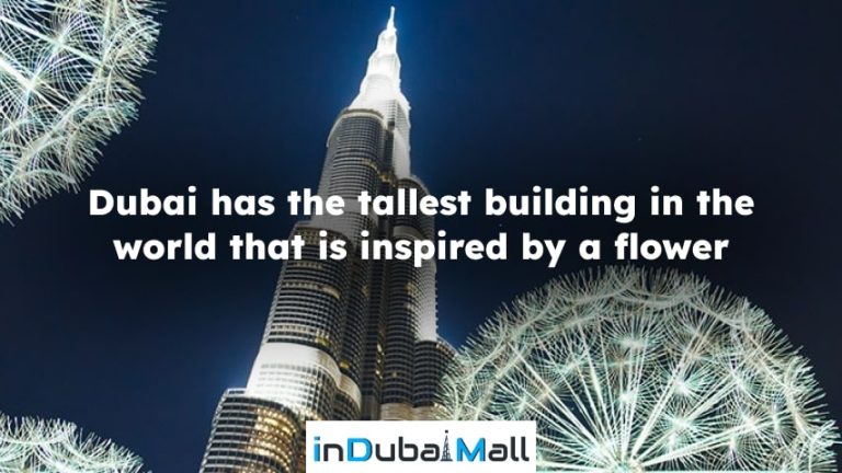 Facts About Dubai, 10 Interesting Facts About Dubai | in Dubai Mall