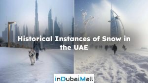 Does it Snow in Dubai? Has it Ever Snowed in Dubai? | in Dubai Mall