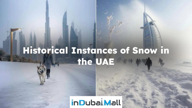 Does it Snow in Dubai? Has it Ever Snowed in Dubai? | in Dubai Mall
